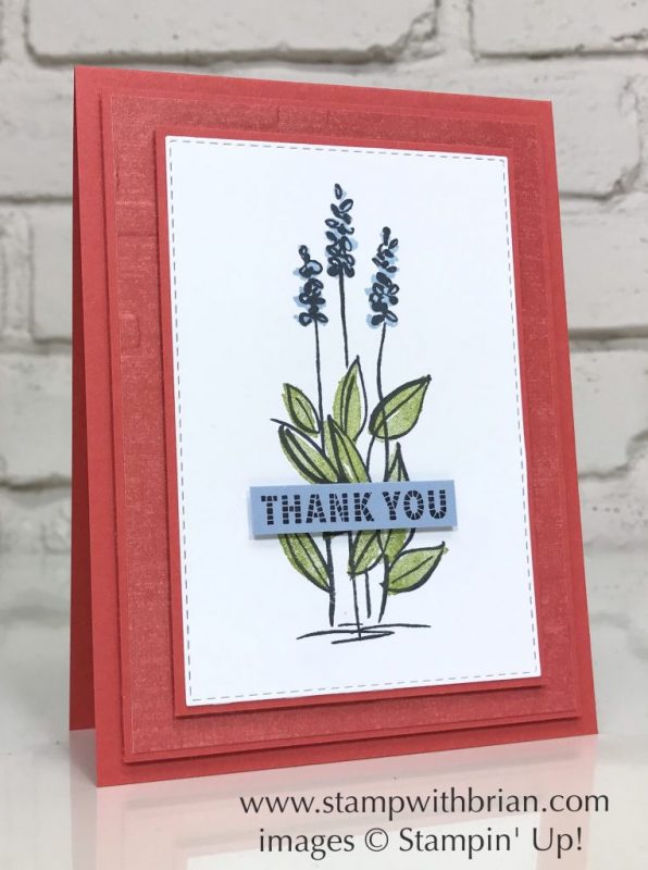 Soft Spring for GDP197 – STAMP WITH BRIAN