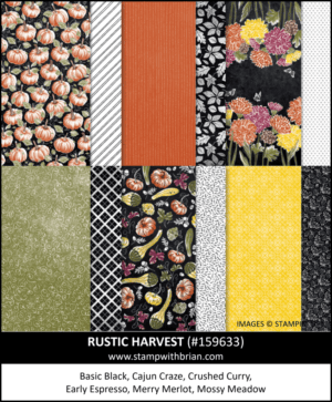 Endlessly Grateful with Rustic Harvest Designer Series Paper – STAMP ...