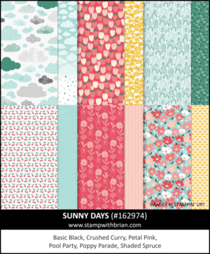 Too Kind with Sunny Days Designer Series Paper – STAMP WITH BRIAN