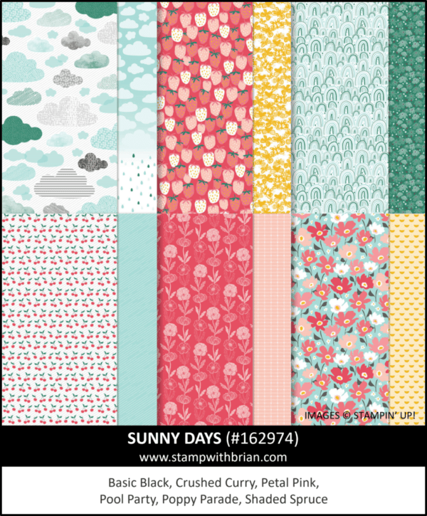 Too Kind with Sunny Days Designer Series Paper – STAMP WITH BRIAN