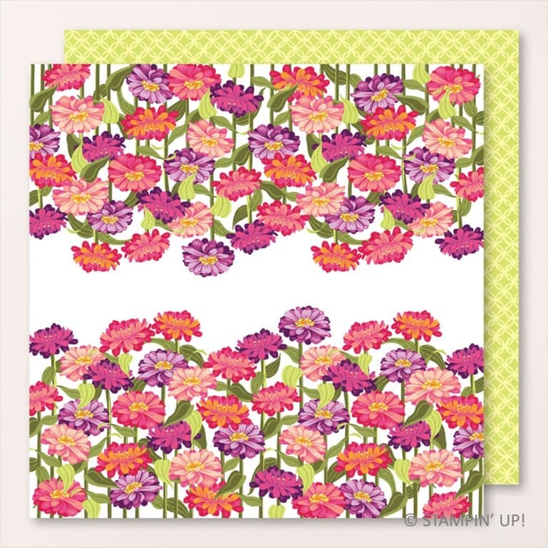 A Closer Look at the Online Exclusives Designer Series Papers – STAMP ...