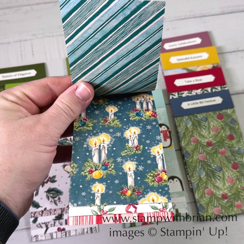A Complete Set of Designer Series Paper Swatch Books – STAMP WITH BRIAN