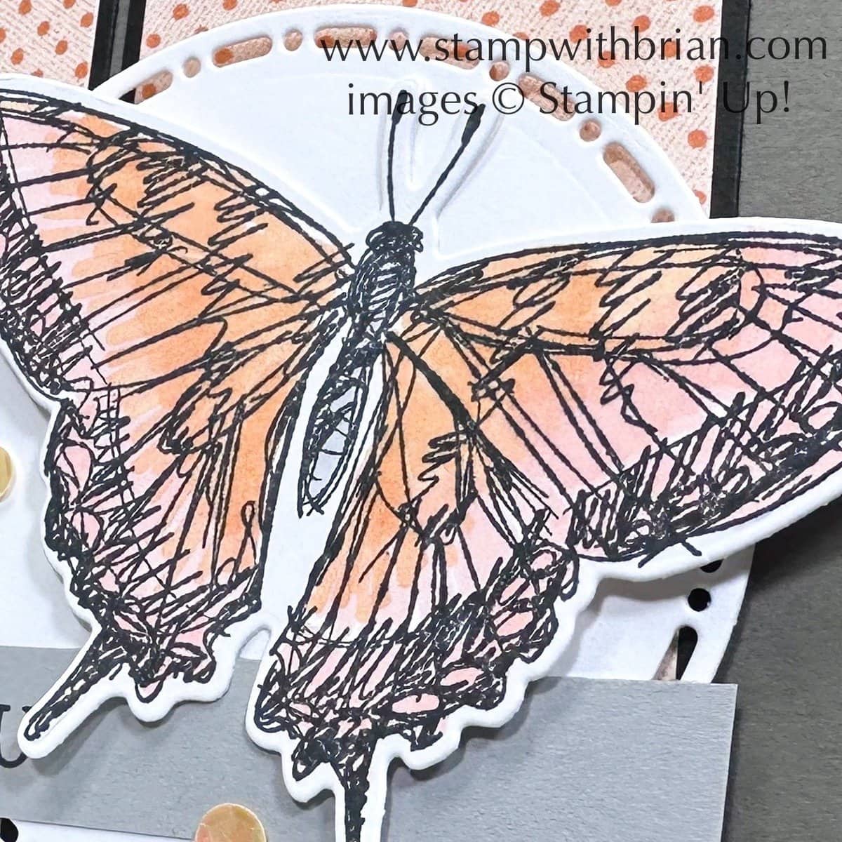 Thank you with Sketched Butterflies – STAMP WITH BRIAN
