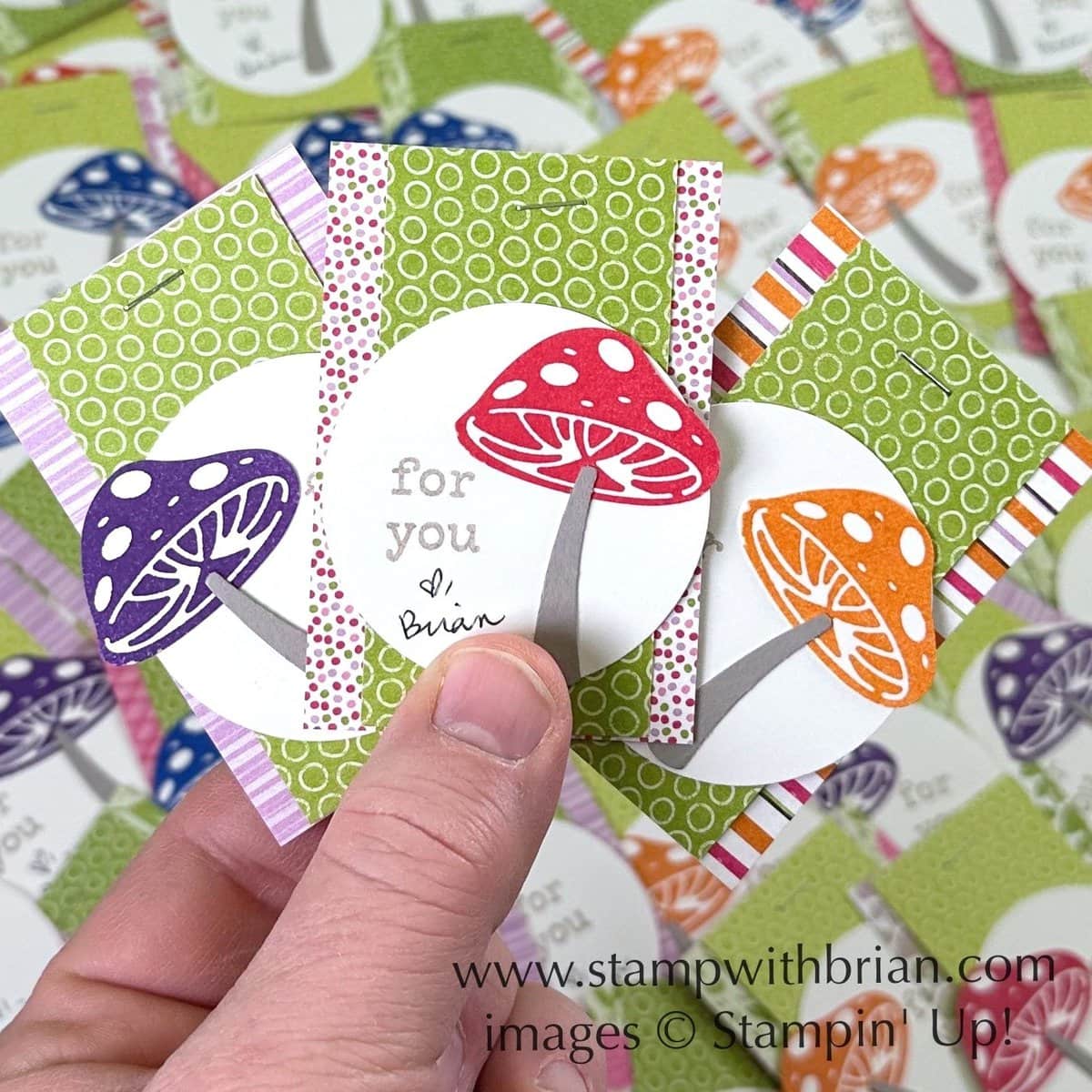 A Trio of Terrific Toadstools Tags – STAMP WITH BRIAN