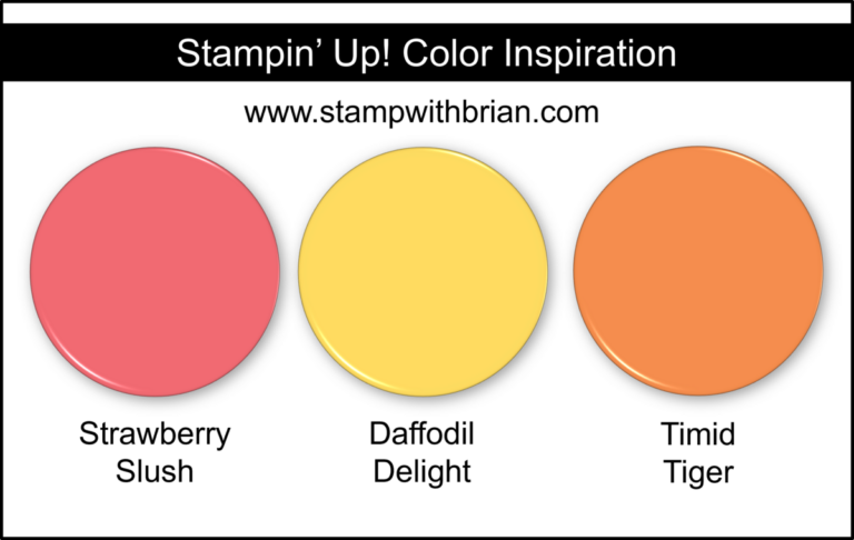 YAY! for Celebratory Sips Designer Series Paper – STAMP WITH BRIAN