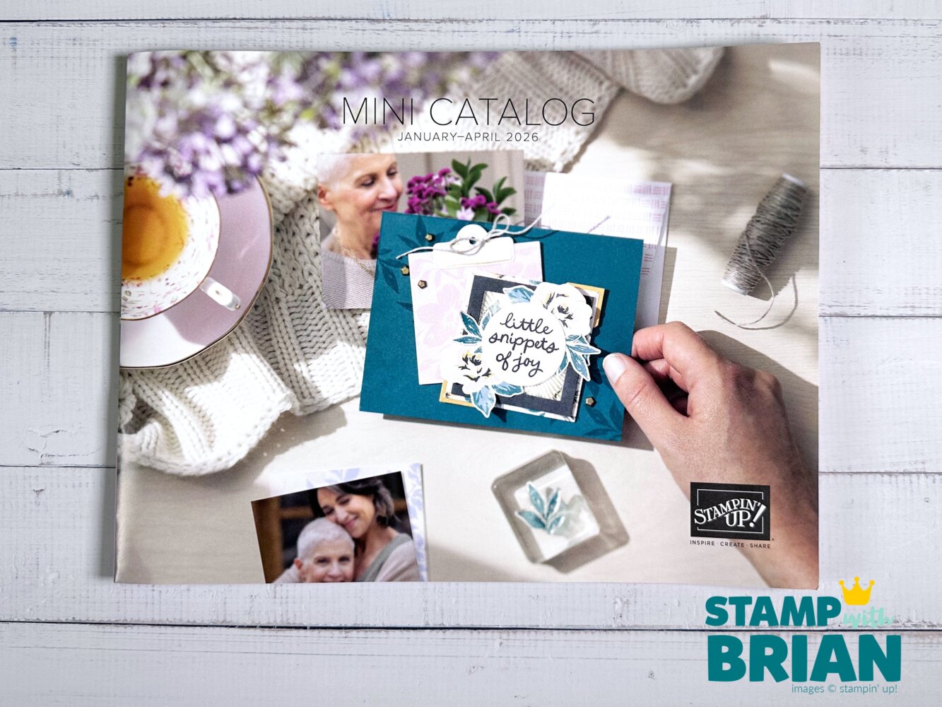 Product Shares & Designer Series Paper Swatch Books (Stampin’ Up!’s ...