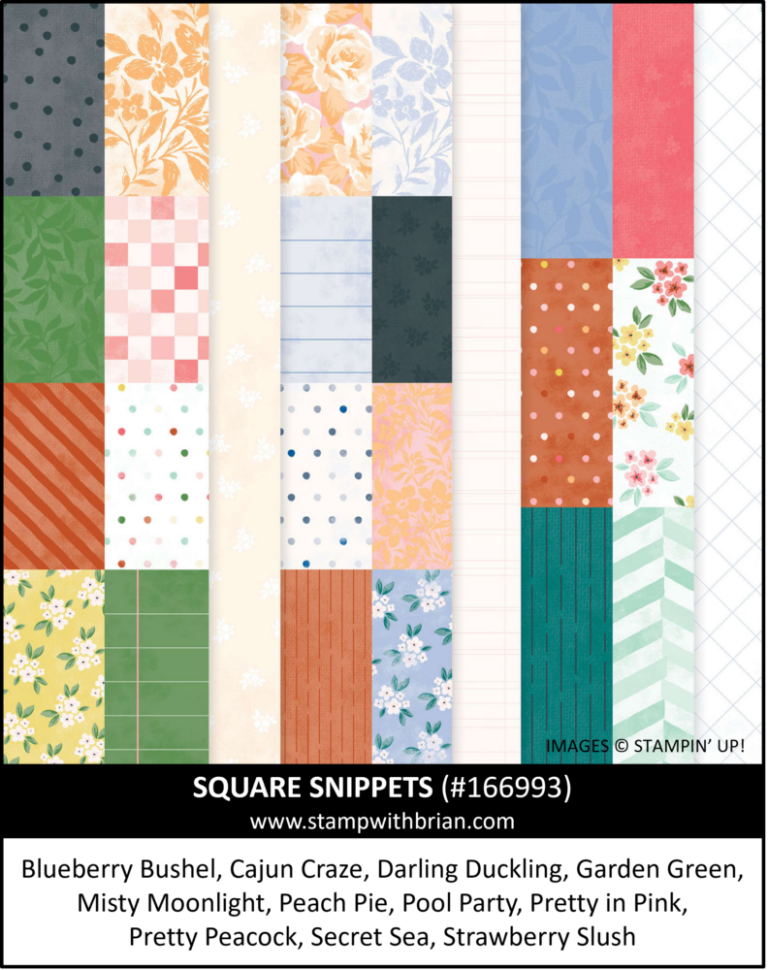 Beyond the Square – Creative Cuts with Square Snippets – STAMP WITH BRIAN
