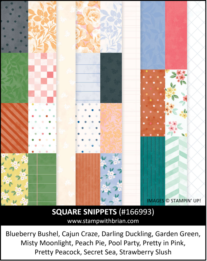 Beyond the Square – Creative Cuts with Square Snippets – STAMP WITH BRIAN