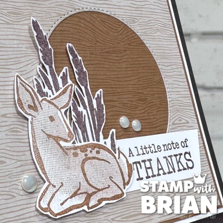 A Little Note of Thanks with Notes of Spring – STAMP WITH BRIAN